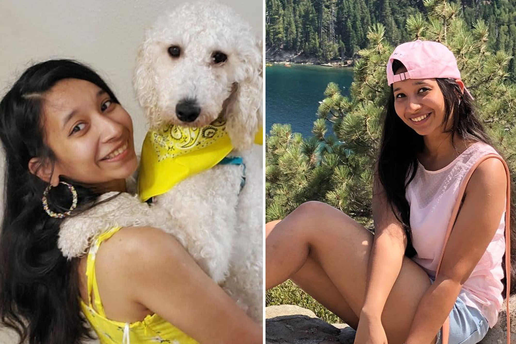 Woman survives car crash — then gets mowed down trying to save dog that ...