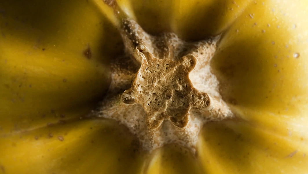4 common mistakes when preparing spaghetti squash