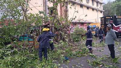 HYDRAA bike teams beat traffic to tackle fallen trees, waterlogging