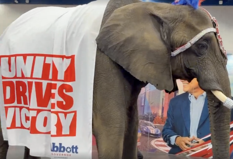 Texas GOP convention’s live elephant steals the show — for all the ...