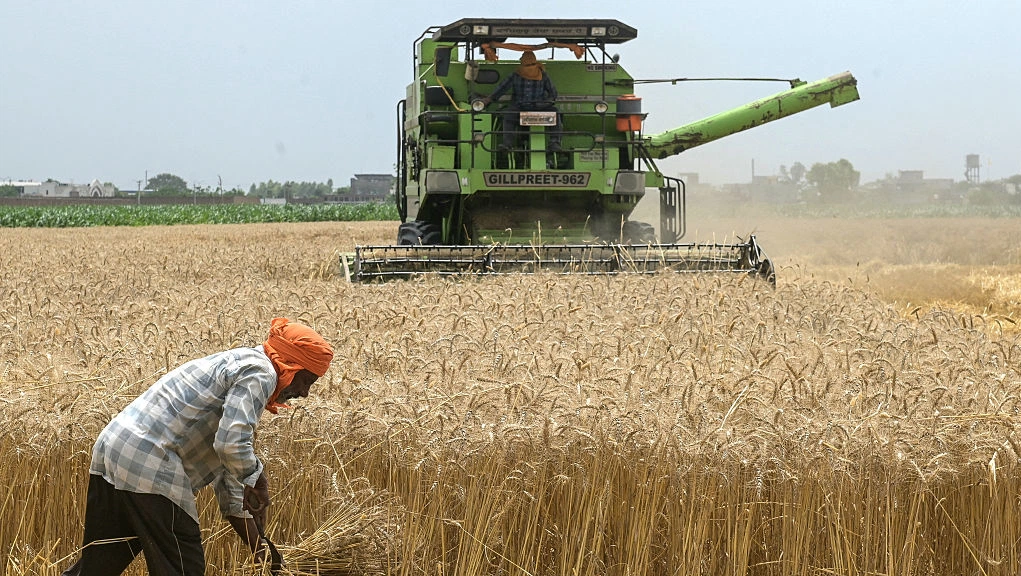 India marks record farm output as exports and credit surge