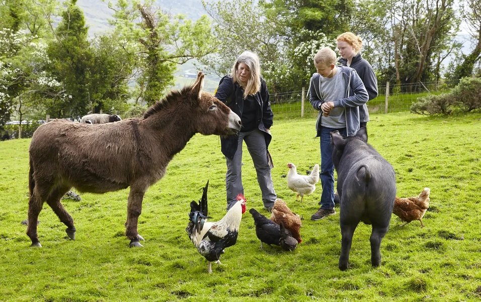 Apprenez enfin à nommer vos animaux préférés