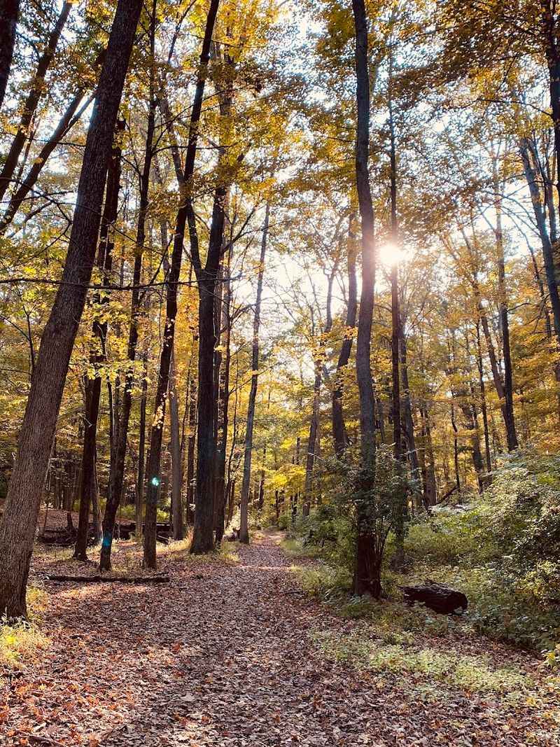 You can ride horses through a 2,142-acre forest preserve in the heart ...