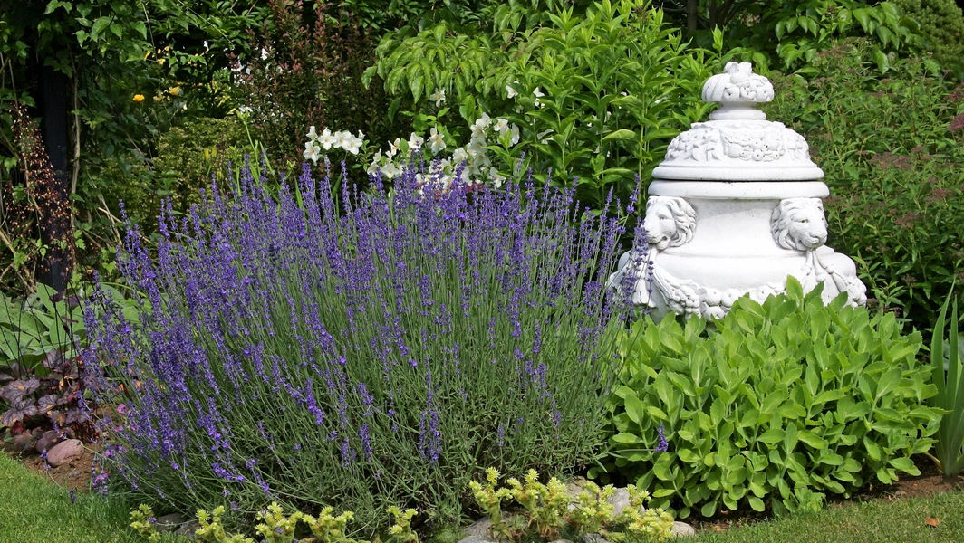12 perennial plants for color, structure, and longevity