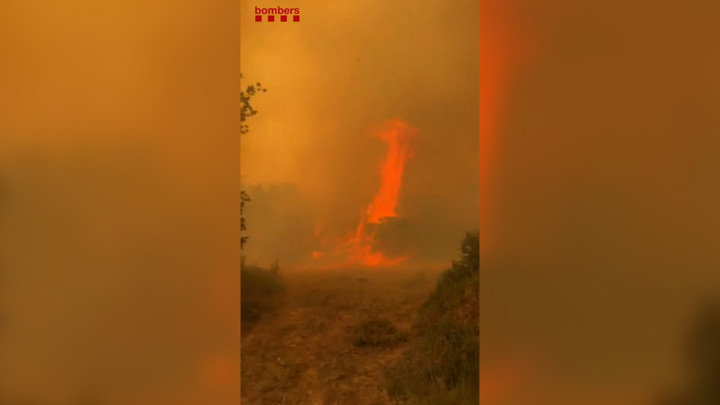 Estabilizado el incendio de vegetación en Sanaüja (Lleida), en el que ...
