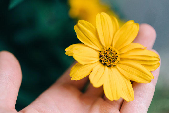 Some things stay with you: 65 moments people can’t unsee or explain