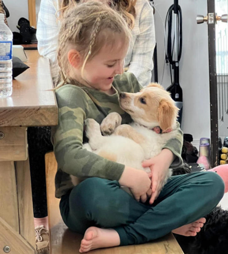 15 stories that remind us there’s nothing quite like the pure love of a ...