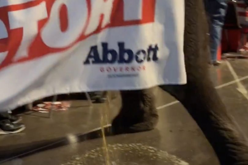 'Tortured' elephant paraded around at Texas GOP convention pees all ...