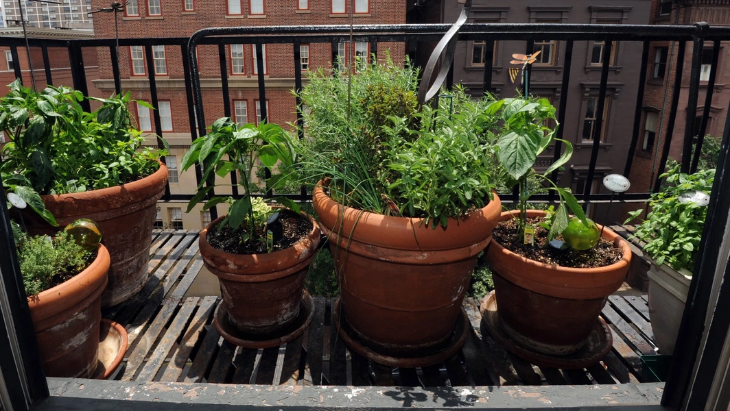 Small space magic with container gardens