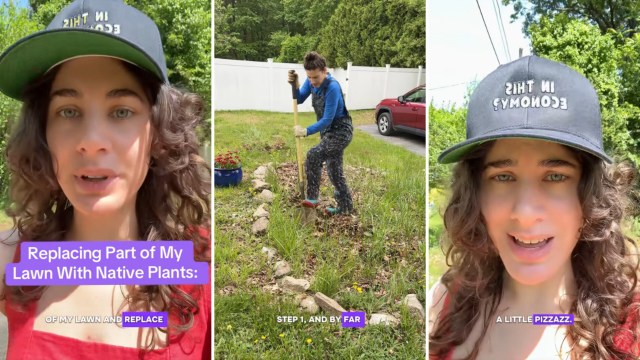 'One of the best things I've done': Homeowner tears out lawn for native ...