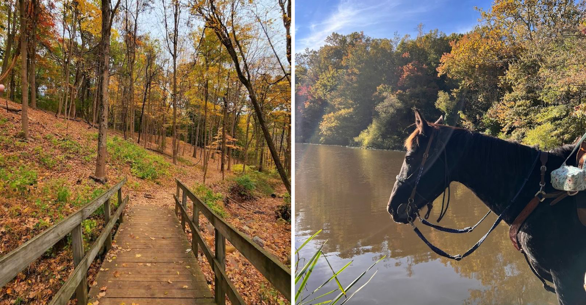 You can ride horses through a 2,142-acre forest preserve in the heart ...
