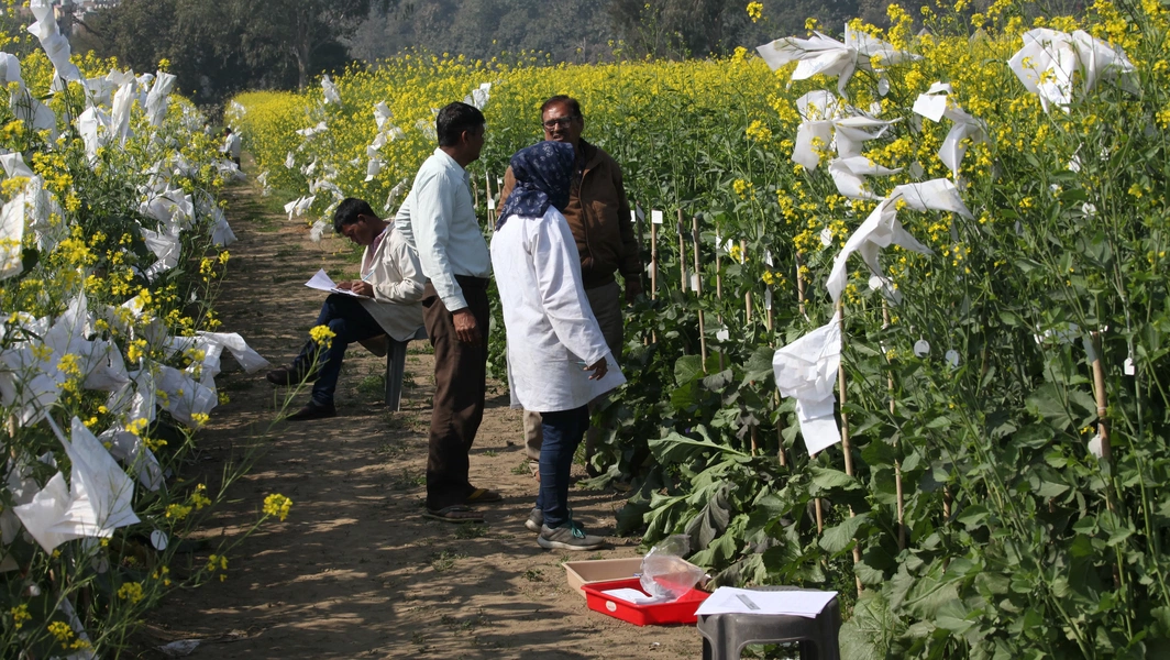 India marks record farm exports as food self-sufficiency grows