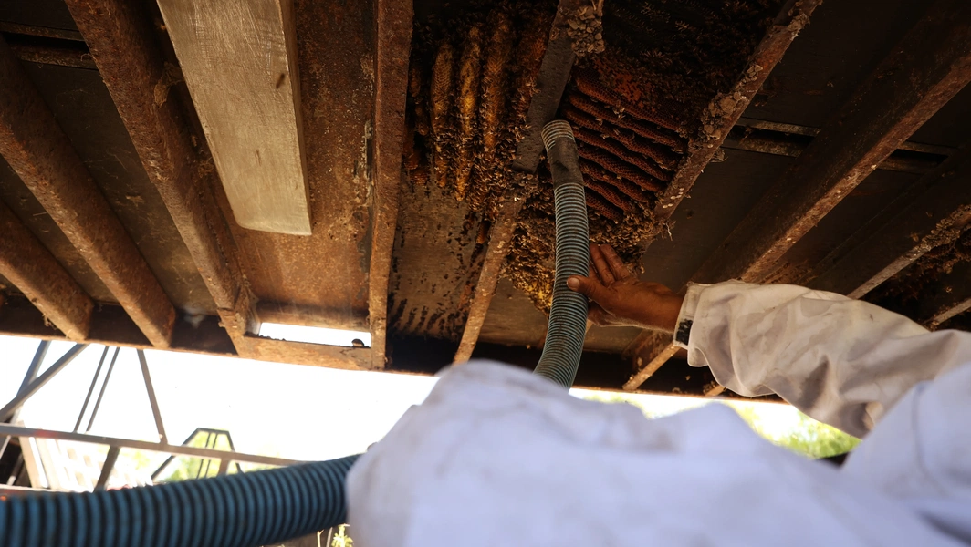 8 strange items found in air ducts