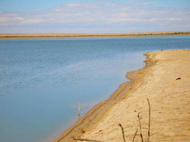 Fish salvage begins at two Colorado reservoirs ahead of public closure