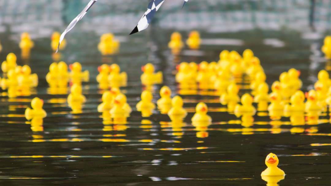 Thousands of rubber ducks splash into the Arkansas River