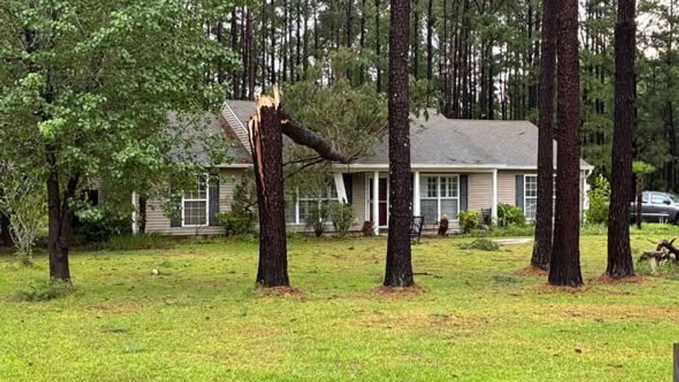 Storm topples tree onto power lines, damages homes in Longs; 1 displaced