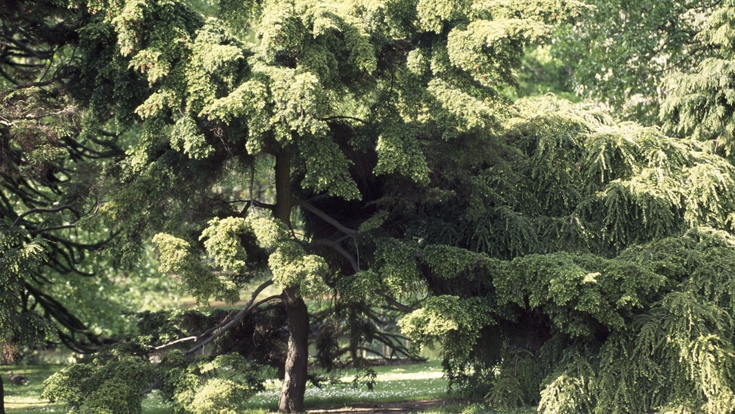 4 unique natural landmarks in Indiana