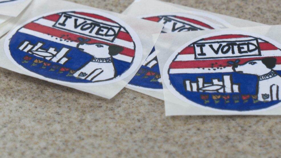 Albany County officials highlight safeguards against voter fraud as ...