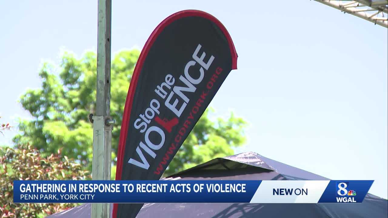 Communities in the Susquehanna Valley work to stop gun violence