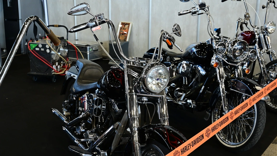 6 striking Harley-Davidson Softail motorcycles
