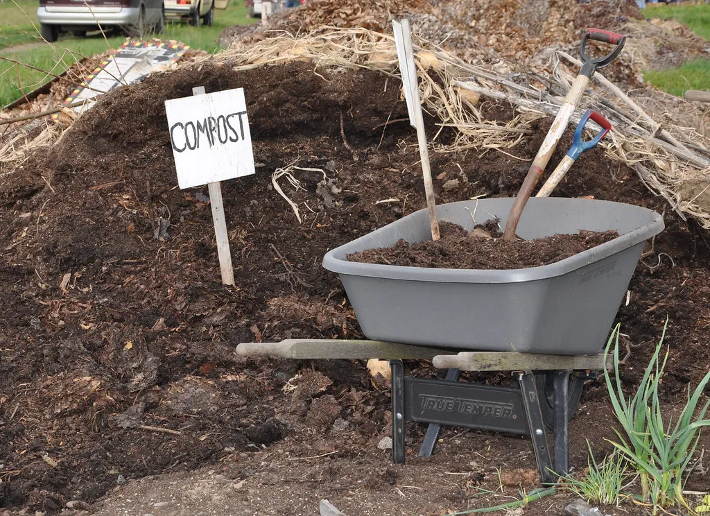 Signs to find out how nutrient rich your compost really is