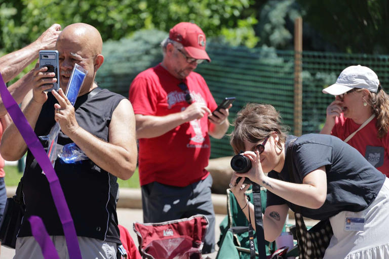 Dancing in the streets: Parade the Circle fills Wade Oval with color ...