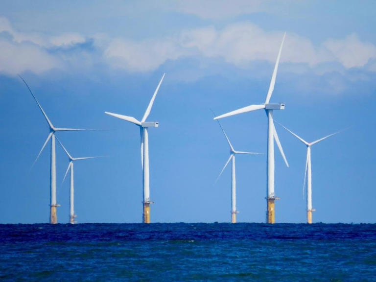 Gary Griggs, our ocean backyard | Continued growth in renewable energy