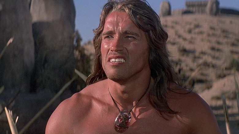Arnold Schwarzenegger almost starred in a pirate movie based on a ...