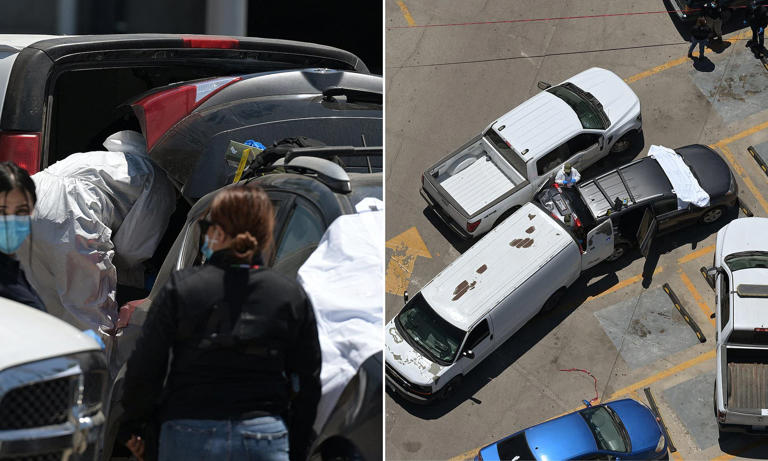 Dead body found in an abandoned car by Iran's World Cup training base ...