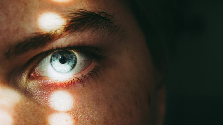 The human eye can detect a single particle of light in total darkness