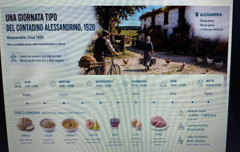 Alessandria, in mostra 'La storia dell'uomo in 24 ore' tra cibo ...