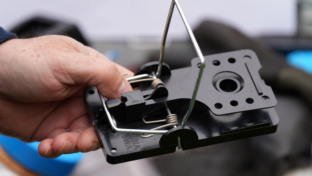 4 best mouse traps for every pest control need