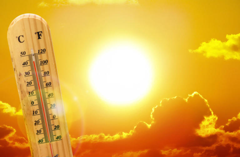Pacific officially enters El Niño, hot weather pattern may be 'very ...