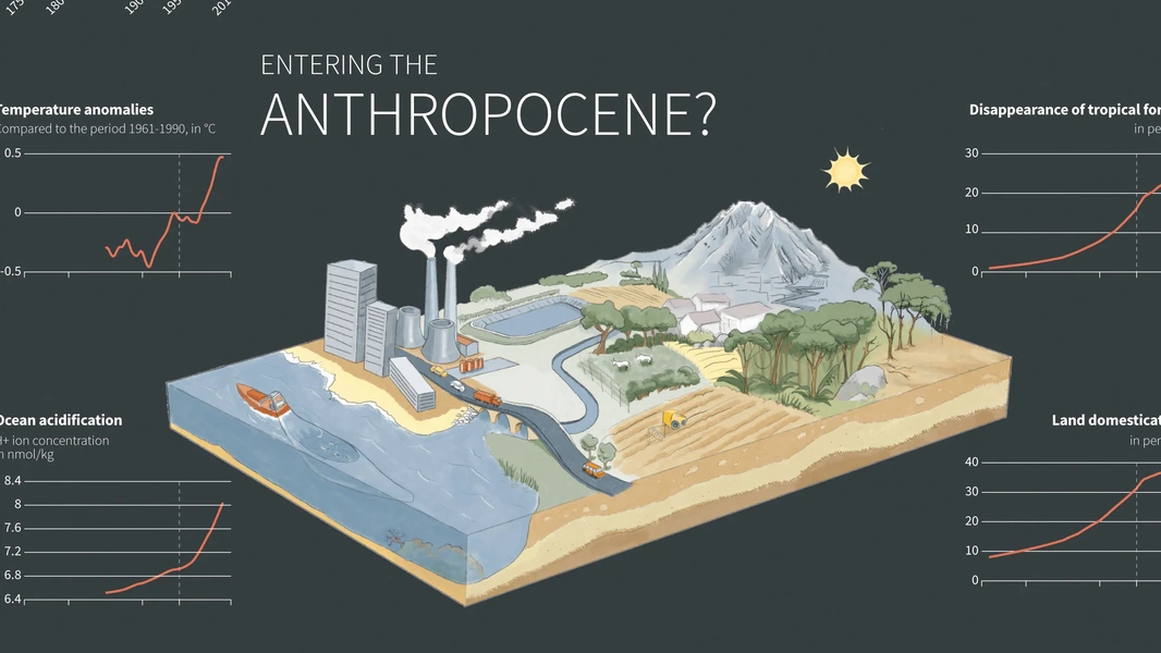 5 award-winning infographics from science to design
