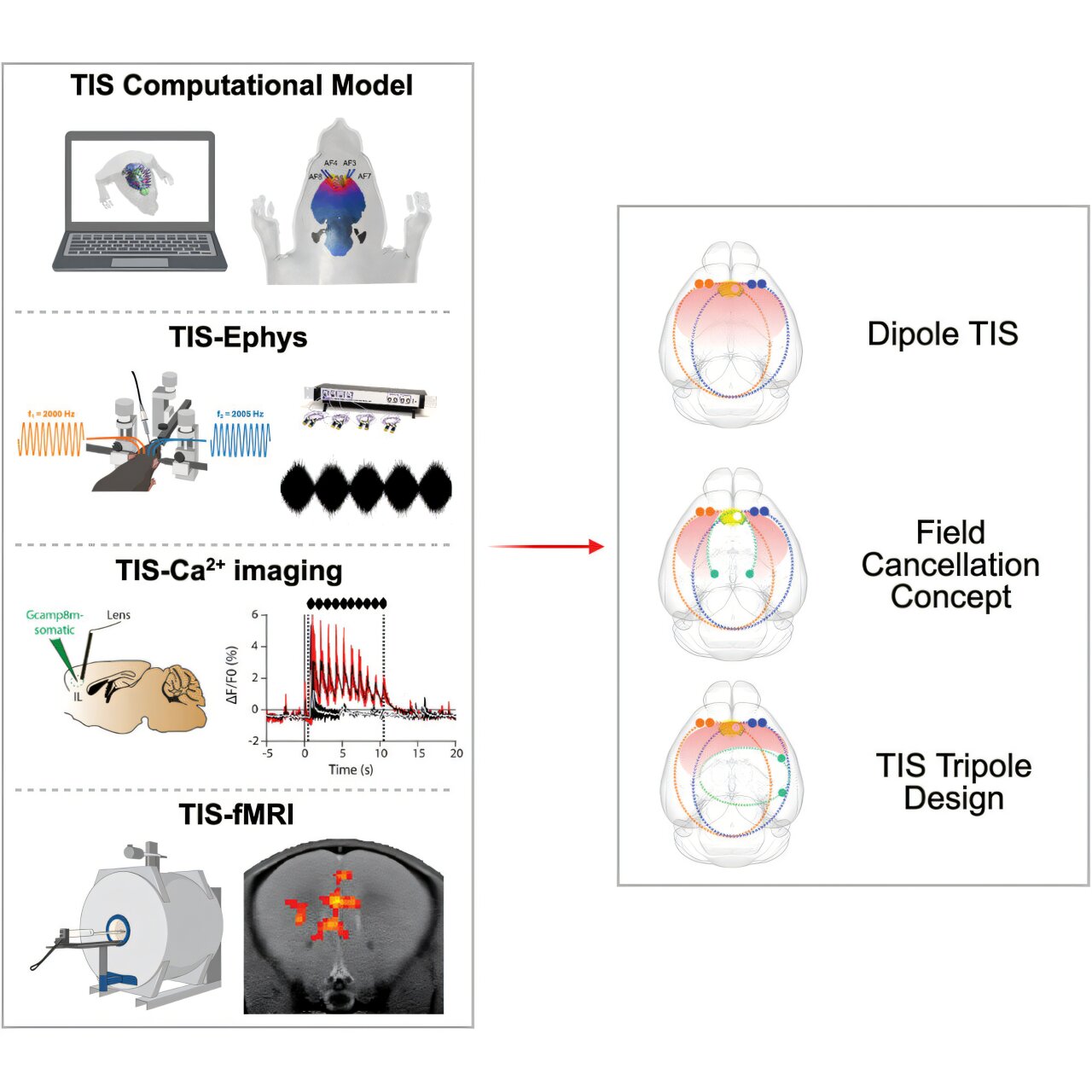 Third electrode pair can sharpen deep brain stimulation technique ...