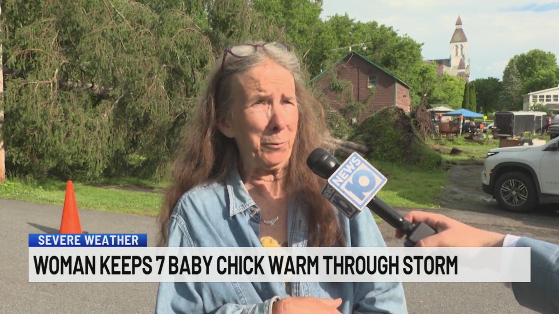 Argyle woman keeps 7 baby chicks warm through storm