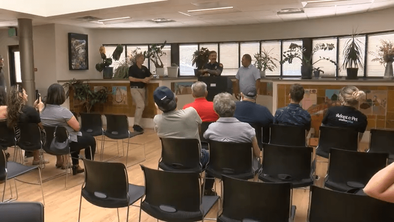 Five volunteers recognized by the City of Albuquerque