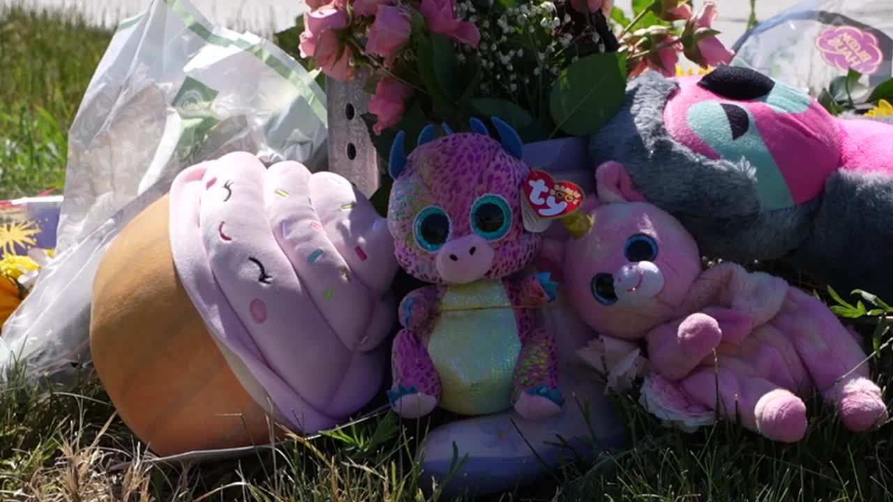 9-year-old Addie McCurdy killed in bicycle crash near Rouse and Griffin ...