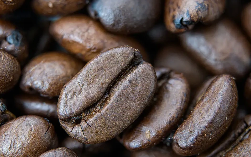 Keep your coffee beans fresh longer
