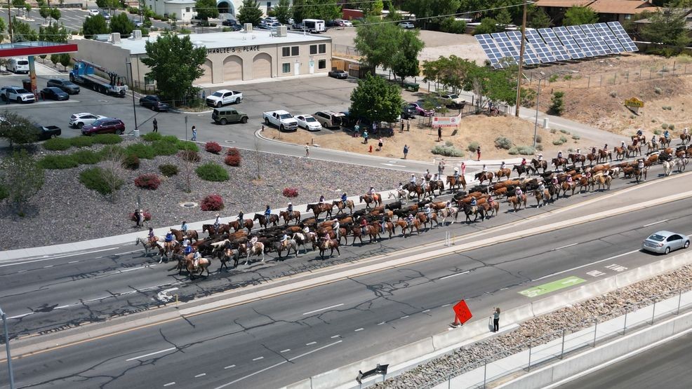 Reno Rodeo Cattle Drive rolls through Reno streets, marking official ...