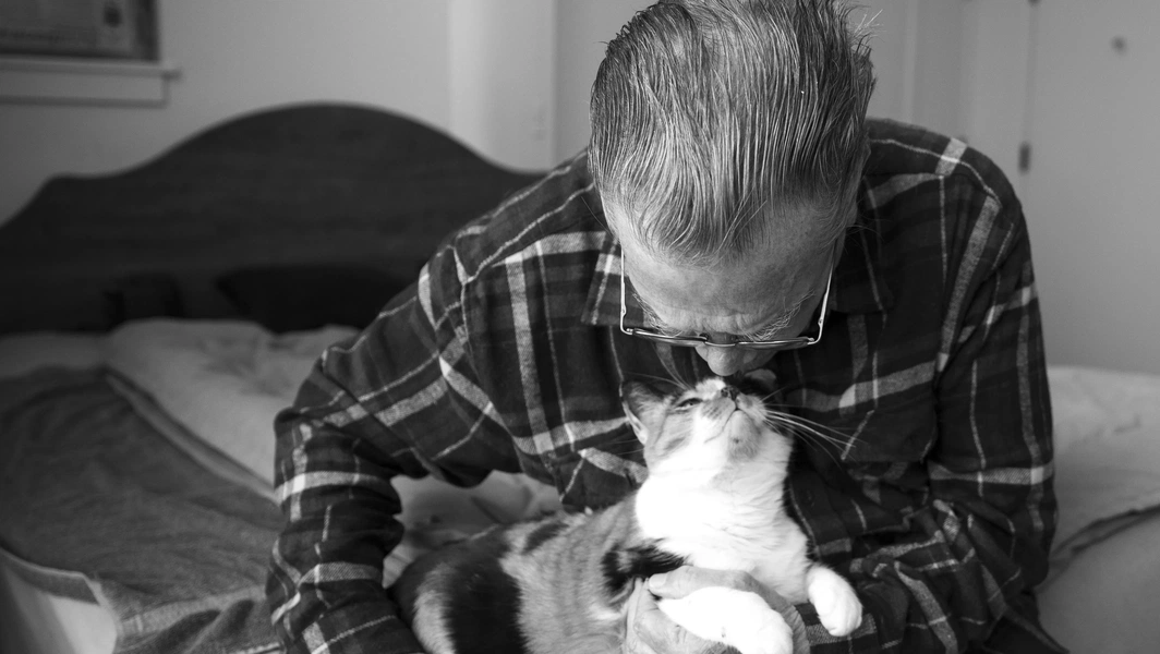 Recognizing and caring for a cat’s final days