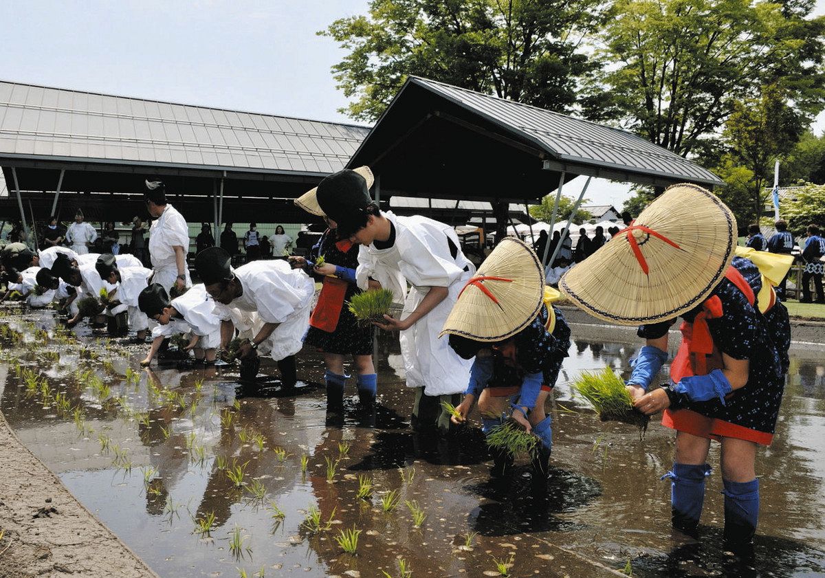 古式ゆかしい田植祭 川場の道の駅で小学生26人が再現