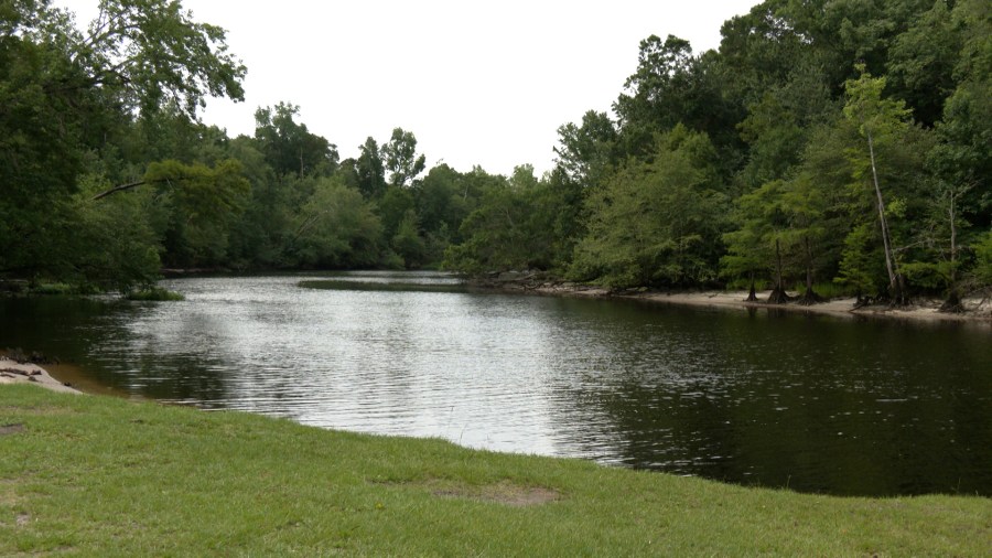 Marion County resident, officials react to 'Project Liberty' data ...