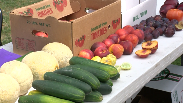 Second Harvest Food Bank providing summer meals to local families