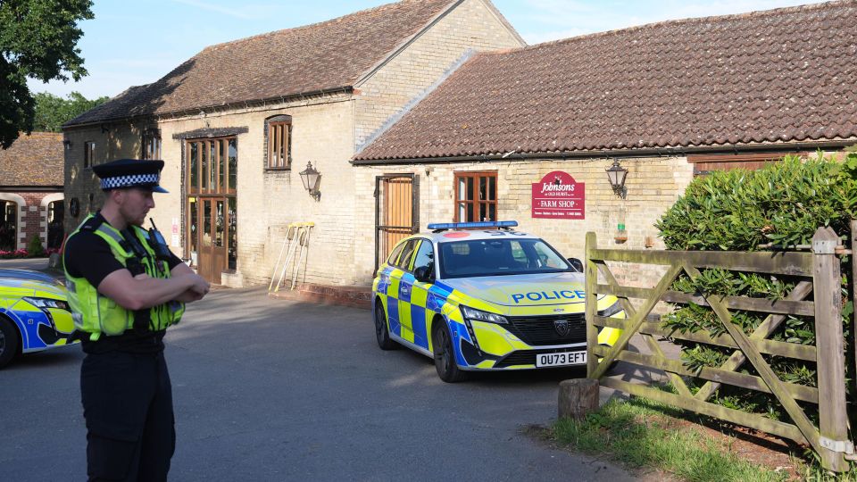 Man arrested after toddler lands in crocodile pen