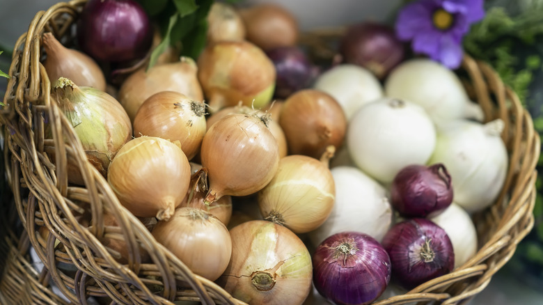 12 mistakes everyone makes with onions