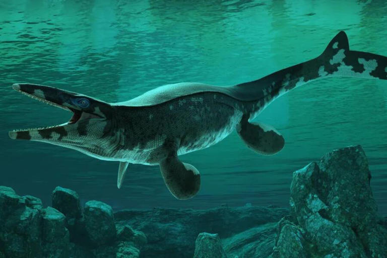 The 'T rex of the ocean': Scientists just identified a predator the ...