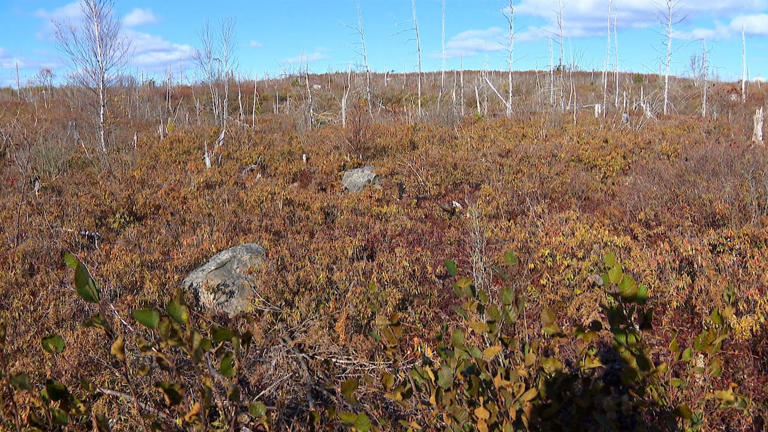 Halifax council approves plan for long-opposed Porters Lake ...