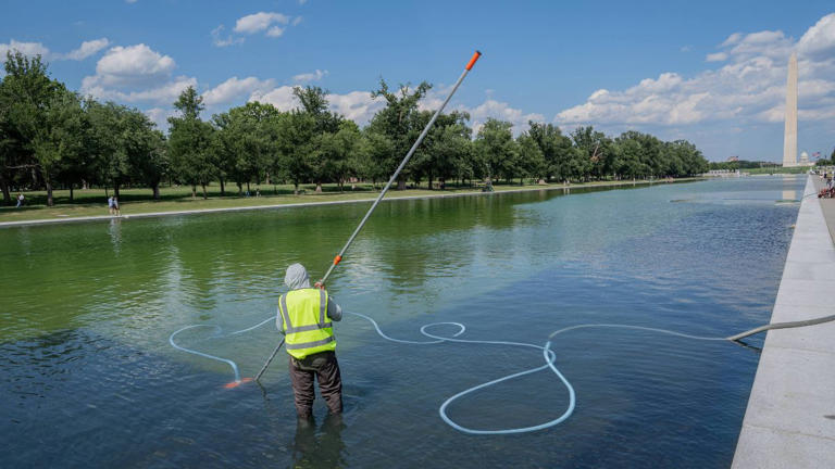 Trump’s $14 million reflecting pool renovation leaves algae problem ...