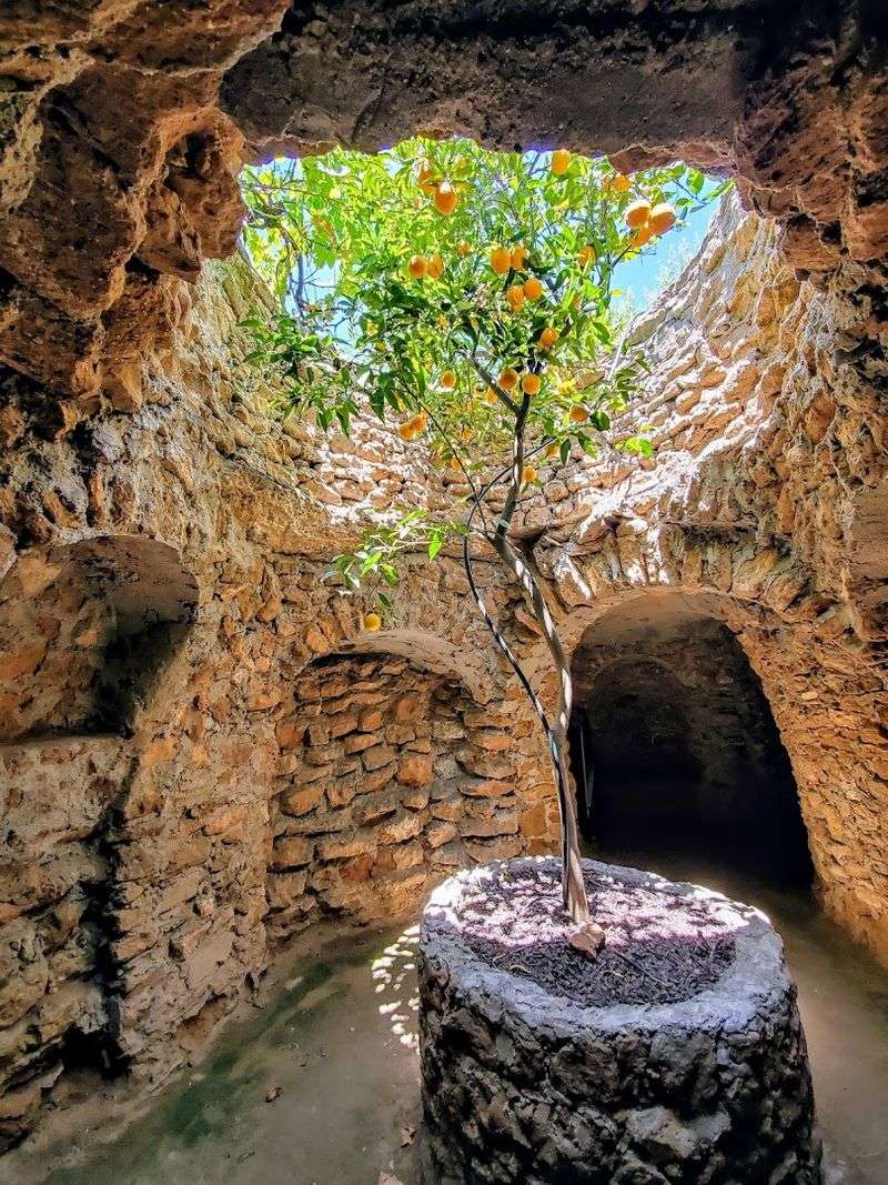 This California underground garden was hand-dug into the earth and ...
